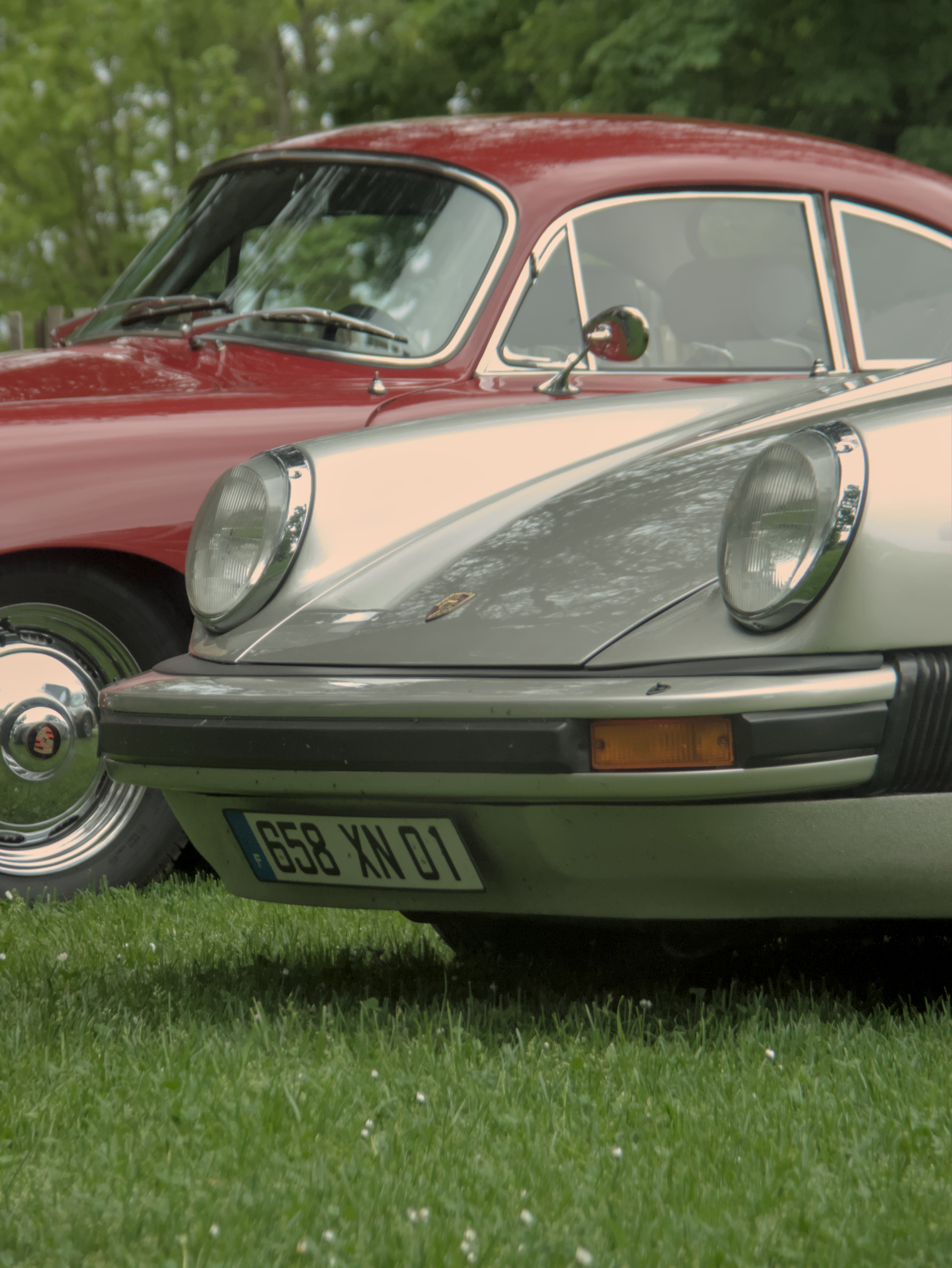 Martin | NorthlightStudio